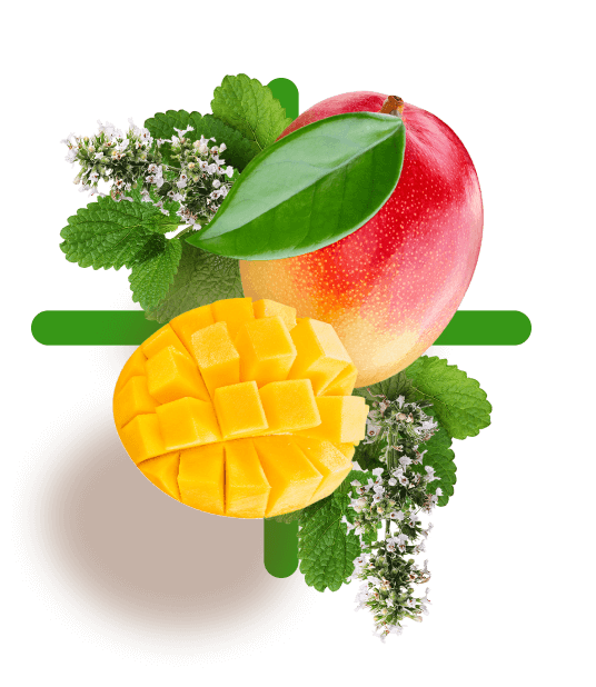 Magnesia Plus - Magnesia.cz, síla přírodního hořčíku