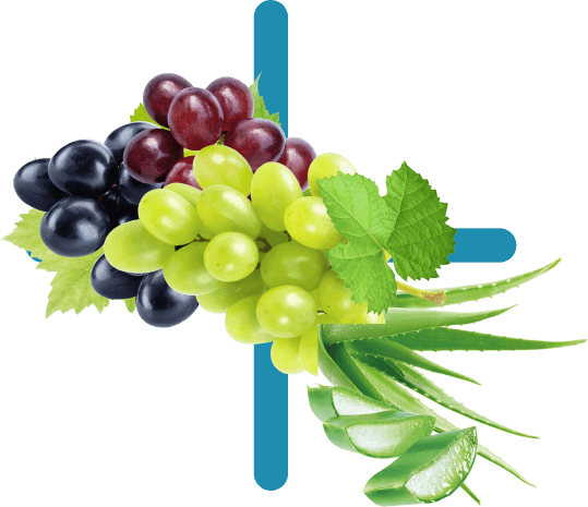 Magnesia Plus - Magnesia.cz, síla přírodního hořčíku